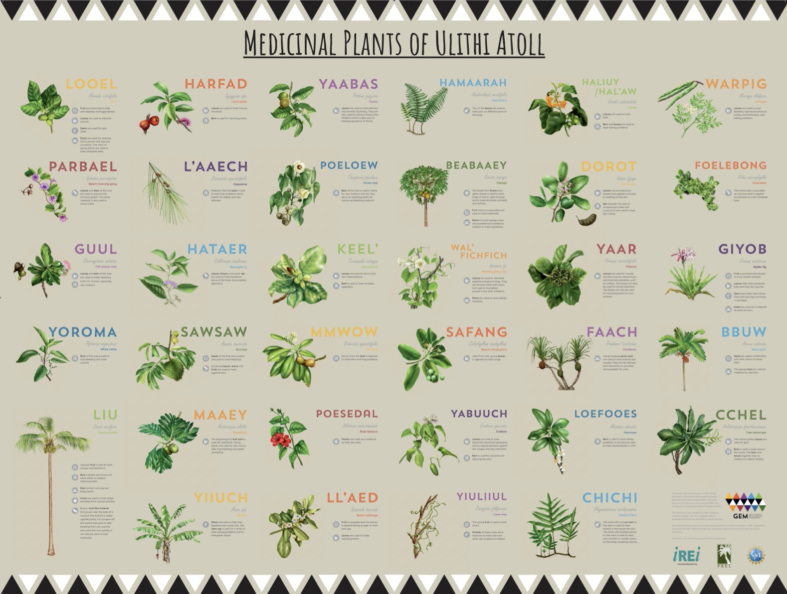 GEM | Medicinal Plants of Ulithi